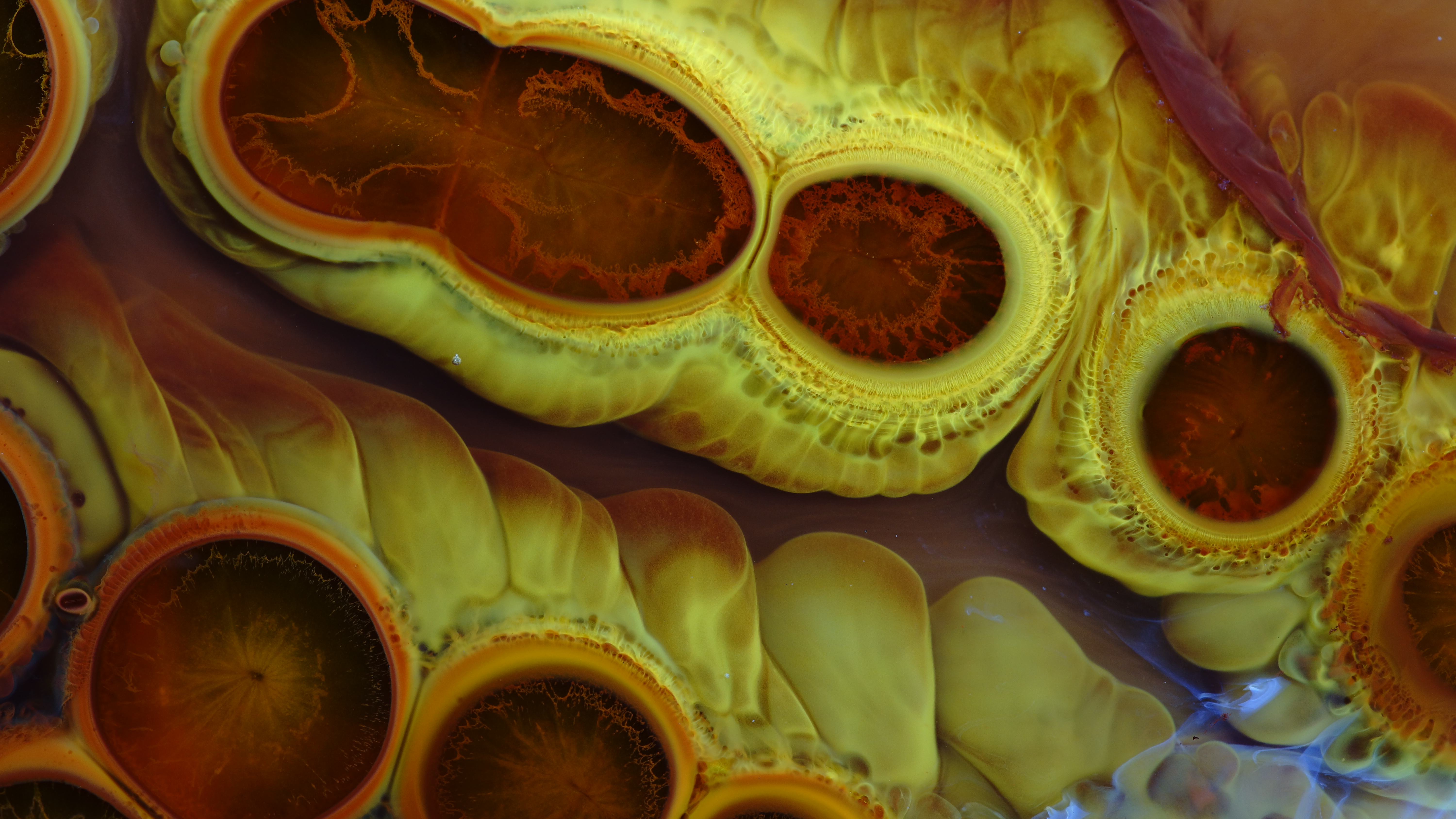 penccil : : : Liesegang Rings