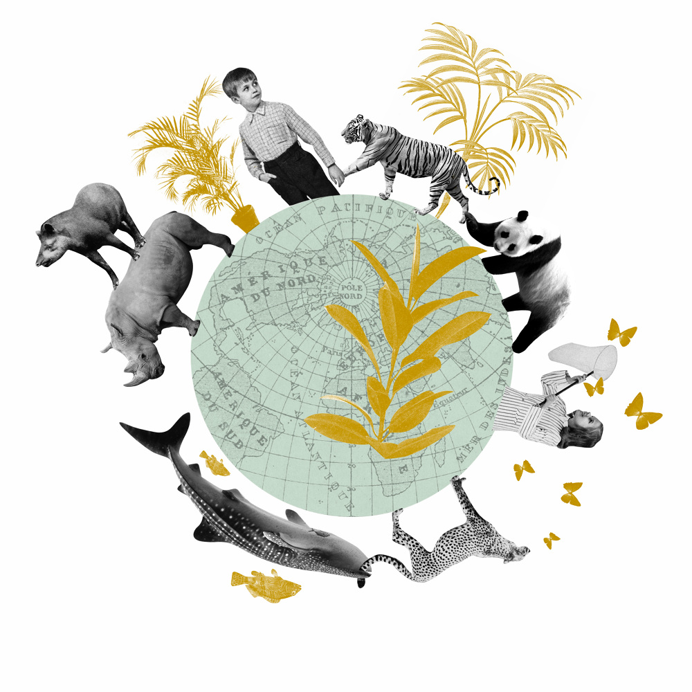 penccil: illustrator ; Mathilde Aubier